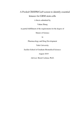 PDF | A Pooled CRISPR/Cas9 screen to identify essential kinases for GBM ...